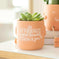 Sitting Plant Pot Friends - Blooming Great Mum - If Friends Were Flowers