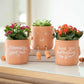 Sitting Plant Pot Friends - Blooming Great Mum - If Friends Were Flowe